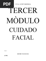 Escala de Glogau | PDF | Piel | Medicina