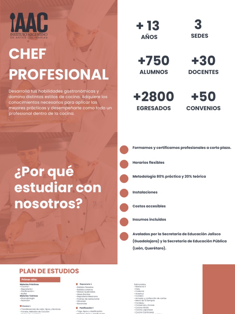 Chef Profesional | PDF | Panes | Panadería