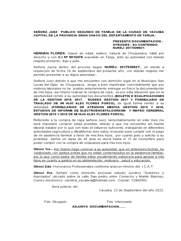 Demanda Caso Hernan Flores | PDF | Justicia | Crimen y violencia