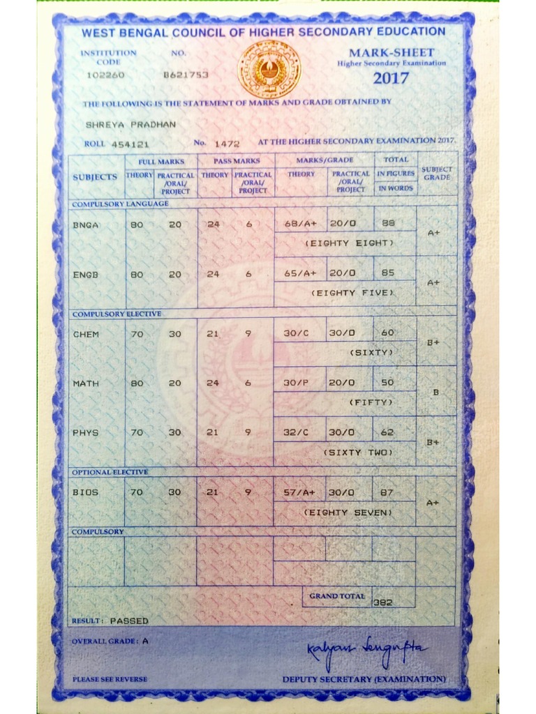 Hs Marksheet | PDF