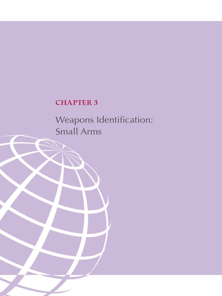 Understanding the Fundamentals: An Overview of Key Small Arms Types ...