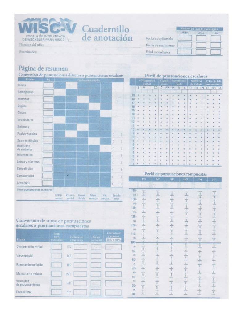 Resumen de Resultados Wisc 5 | PDF