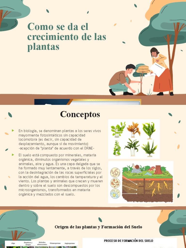 Crecimiento Las Plantas | PDF | Ciencia y matemáticas