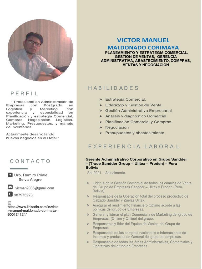 CV Victor Manuel Maldonado | PDF | Presupuesto | Logística