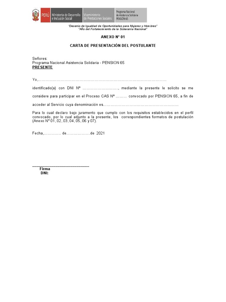 Formatos de Postulacion | PDF