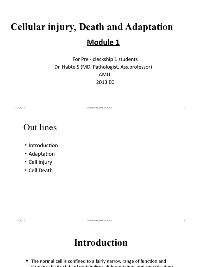 Cellular Responses To Stress and Noxious Stimuli | PDF | Apoptosis ...