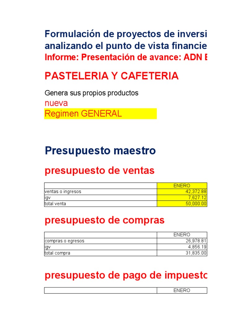 Avance Tipo Examen Presupuesto y Flujo | PDF | Presupuesto | Flujo de efectivo