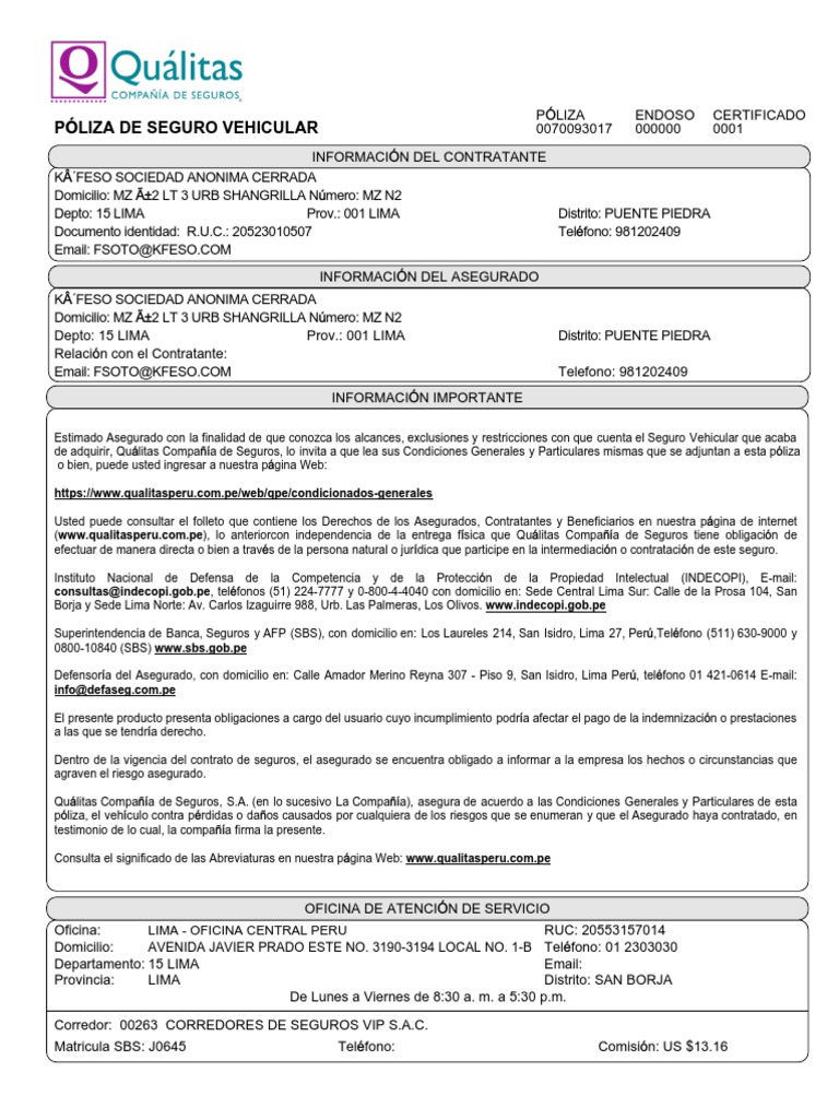 Seguro Vehicular: Detalles y Coberturas | PDF
