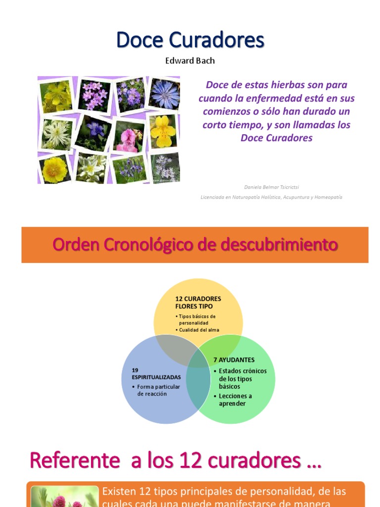 Doce Curadores | PDF