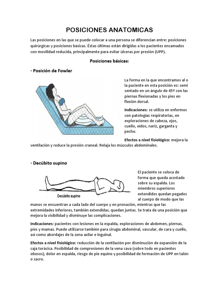Posiciones Anatomicas | PDF