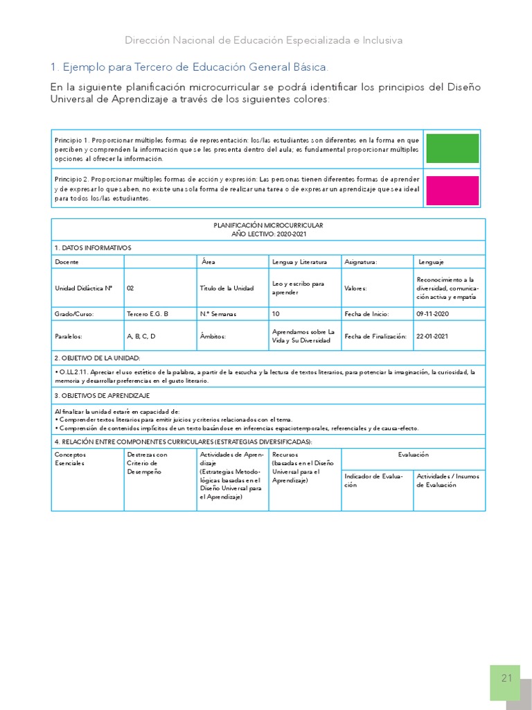 Planificacion DUA | PDF