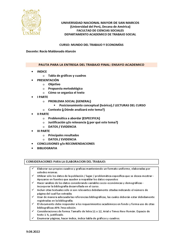 Pauta Ensayo Academico 2022 | PDF