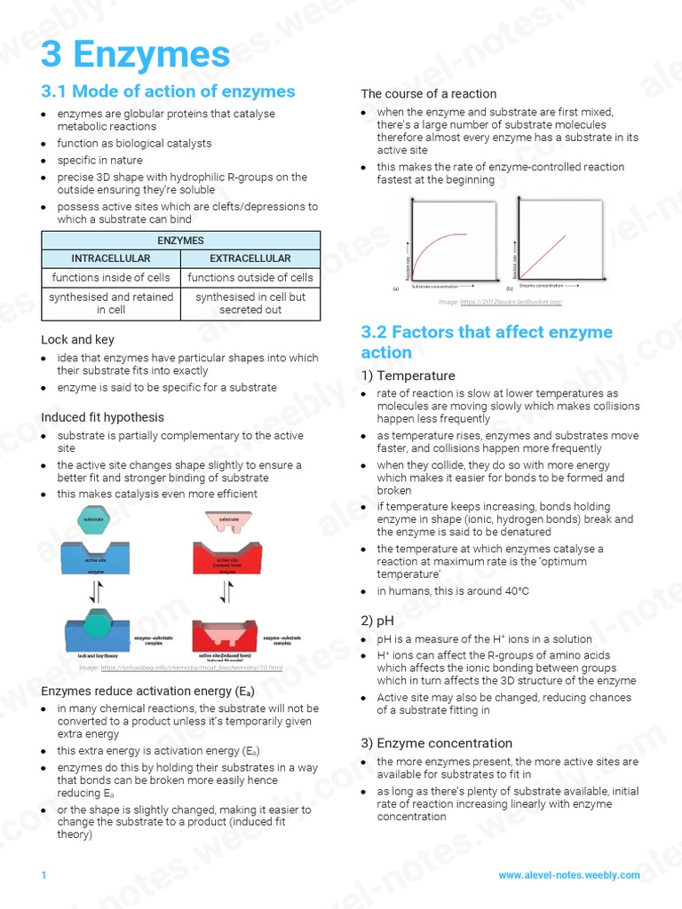 3 Enzymes | PDF | Enzyme | Enzyme Inhibitor