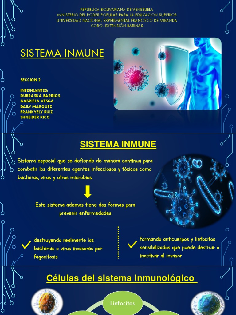 INMUNIDAD | Descargar gratis PDF | Linfocitos | Sistema inmune