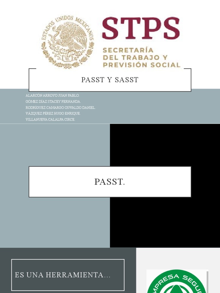 PASST y Sasst | PDF | Business | Valores