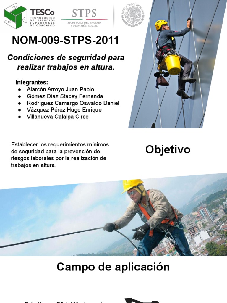 t21 Formativa Nom 009 Stps 2011 | PDF