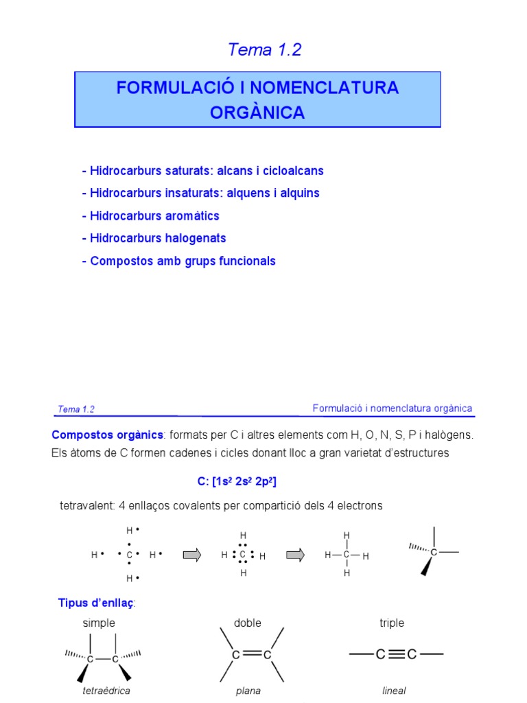 Tema 12 Form Organica | PDF