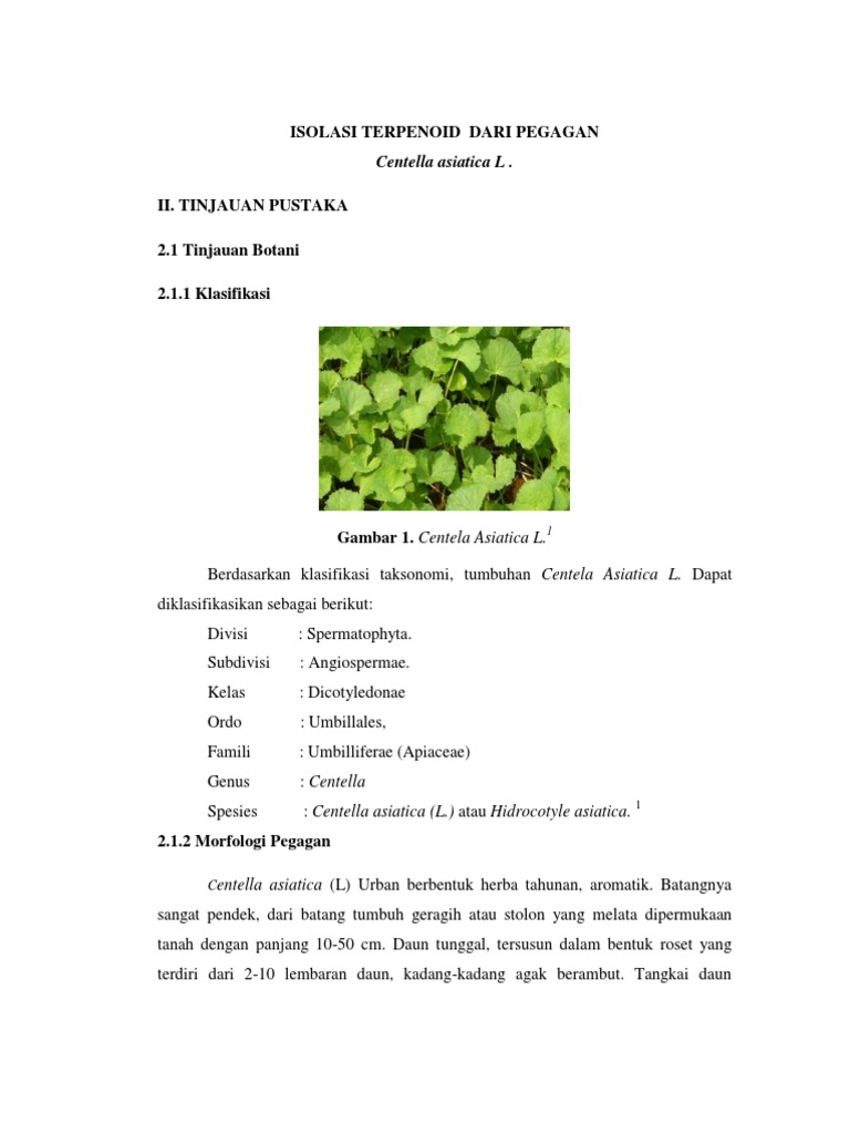 Centella Asiatica | PDF