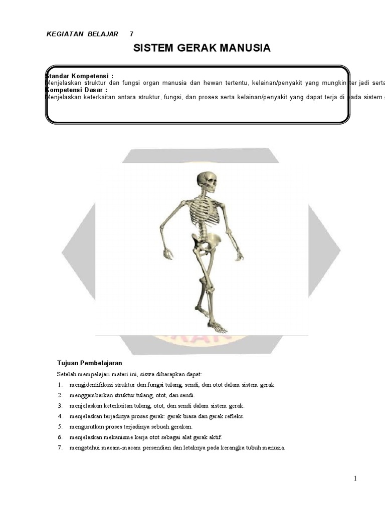 Sistem Gerak Manusia | PDF