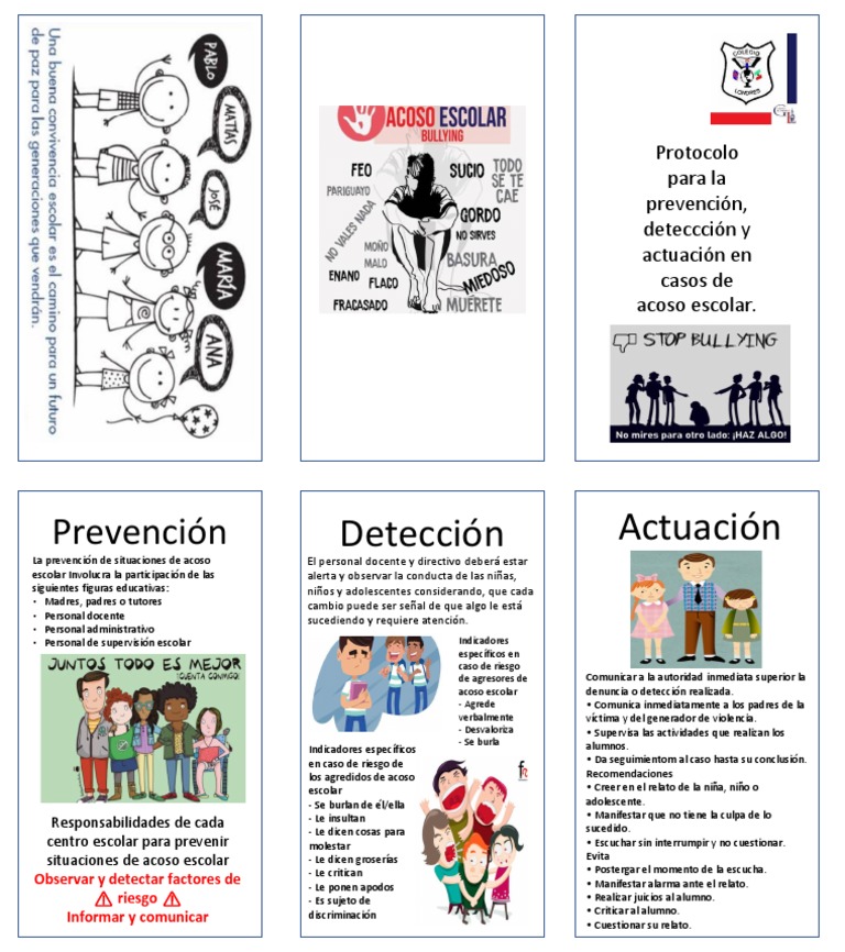 Protocolo Triptico | PDF | Agresión | Injusticia