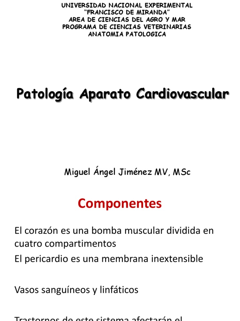 Causas de Enfermedades Cardíacas y Tétrada | PDF | Corazón ...
