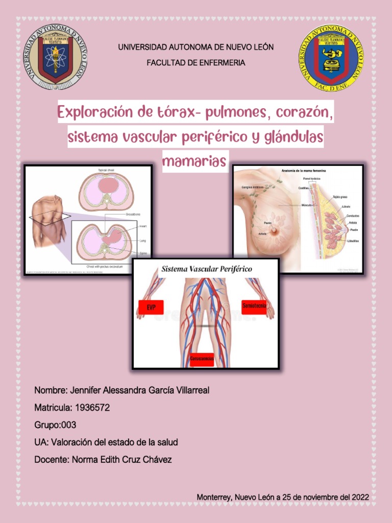 Exploración de Tórax - Pulmones - Corazón - Sistema Vascular ...