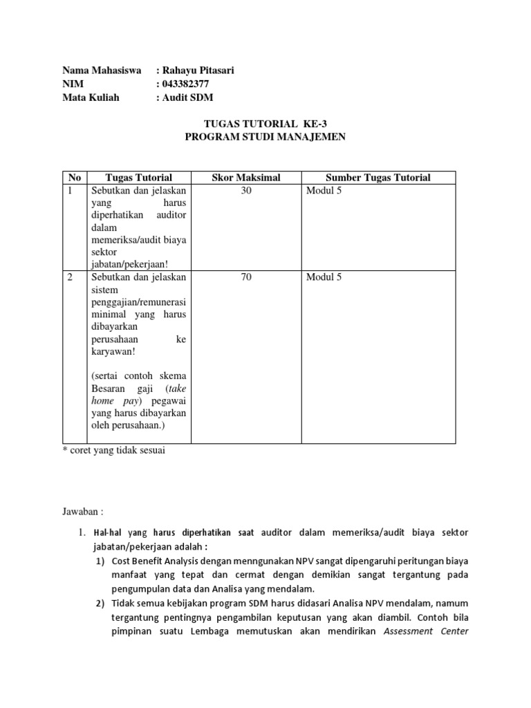 Tugas 3-Audit SDM | PDF