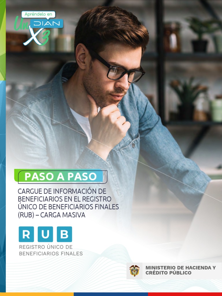 Carga Masiva RUB: Guía Paso a Paso | PDF | Archivo de computadora | Informática