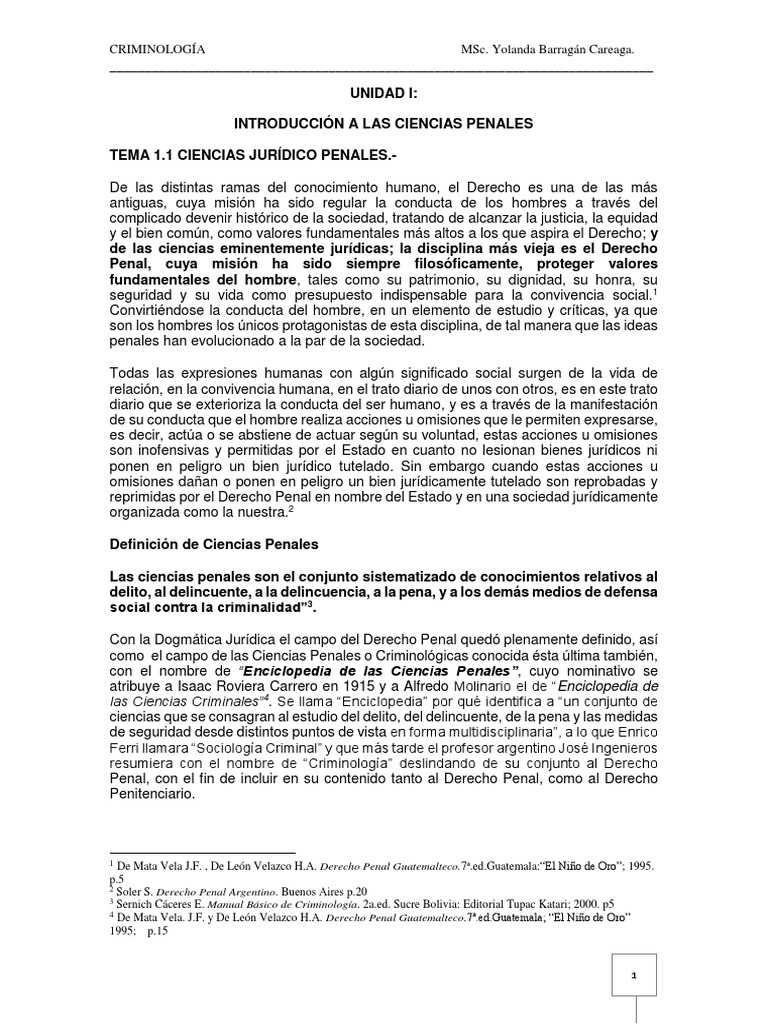 UNIDAD I TEMA 1-1 Texto-Combinado | PDF