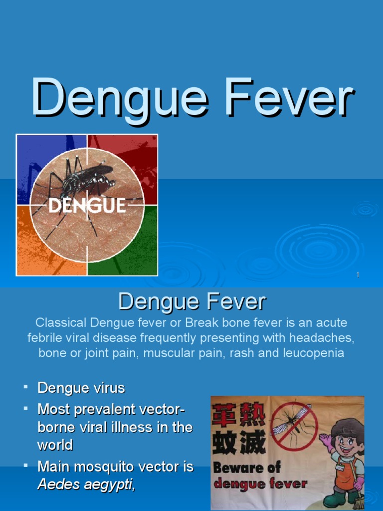 Dengue | PDF