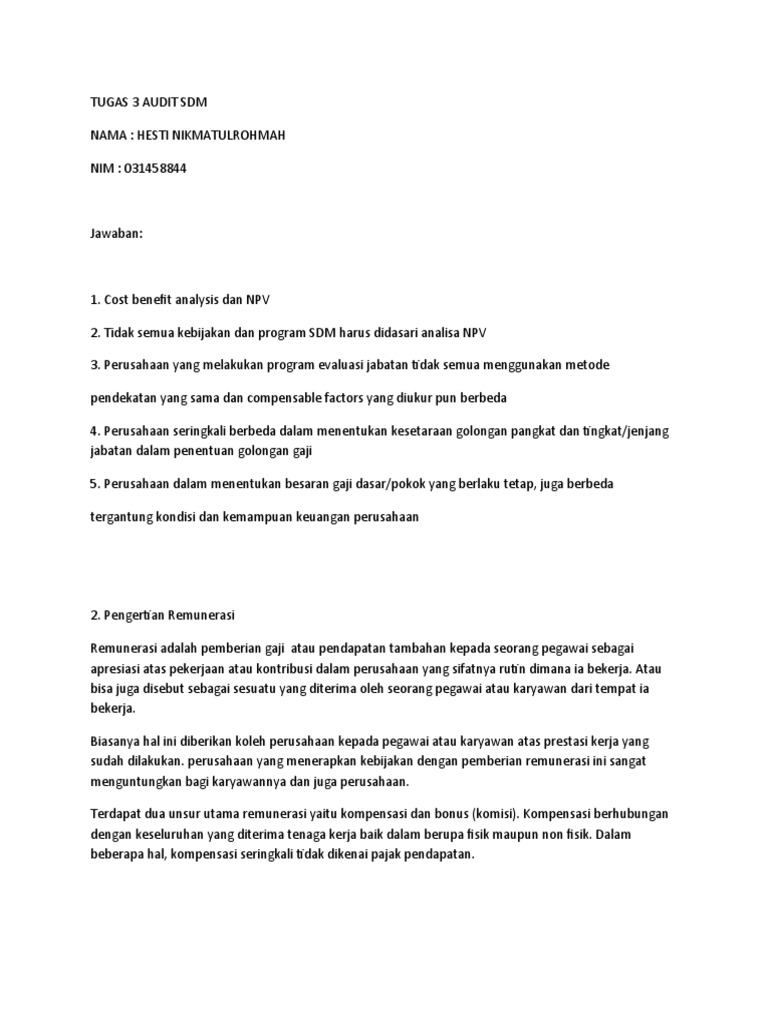 Tugas 3 Audit SDM | PDF