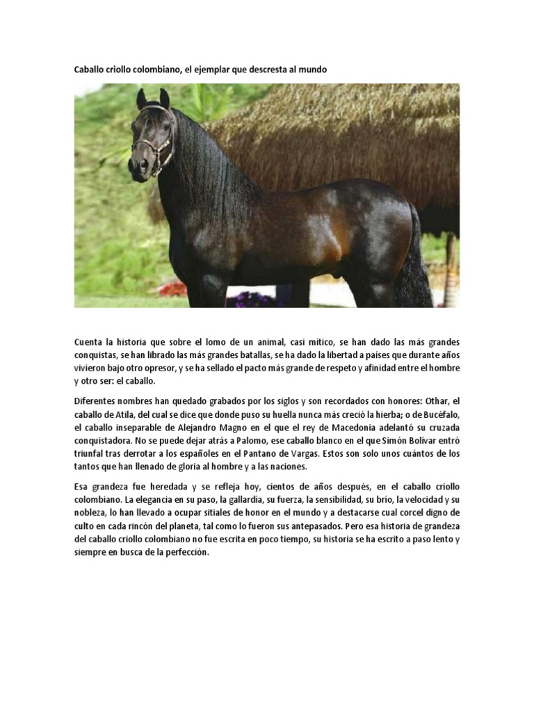 El Caballo Criollo Colombiano | PDF