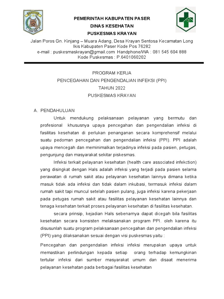 PROGRAM KERJA PPI PKM Krayan 2022 | PDF