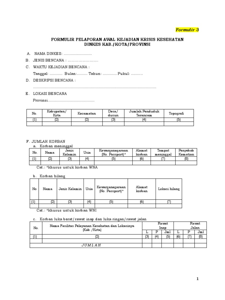 Formulir Pelaporan RHA | PDF