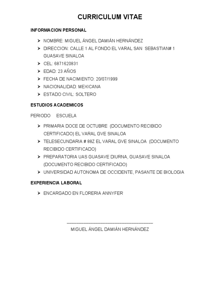 Curriculum Vitae Nacho | PDF
