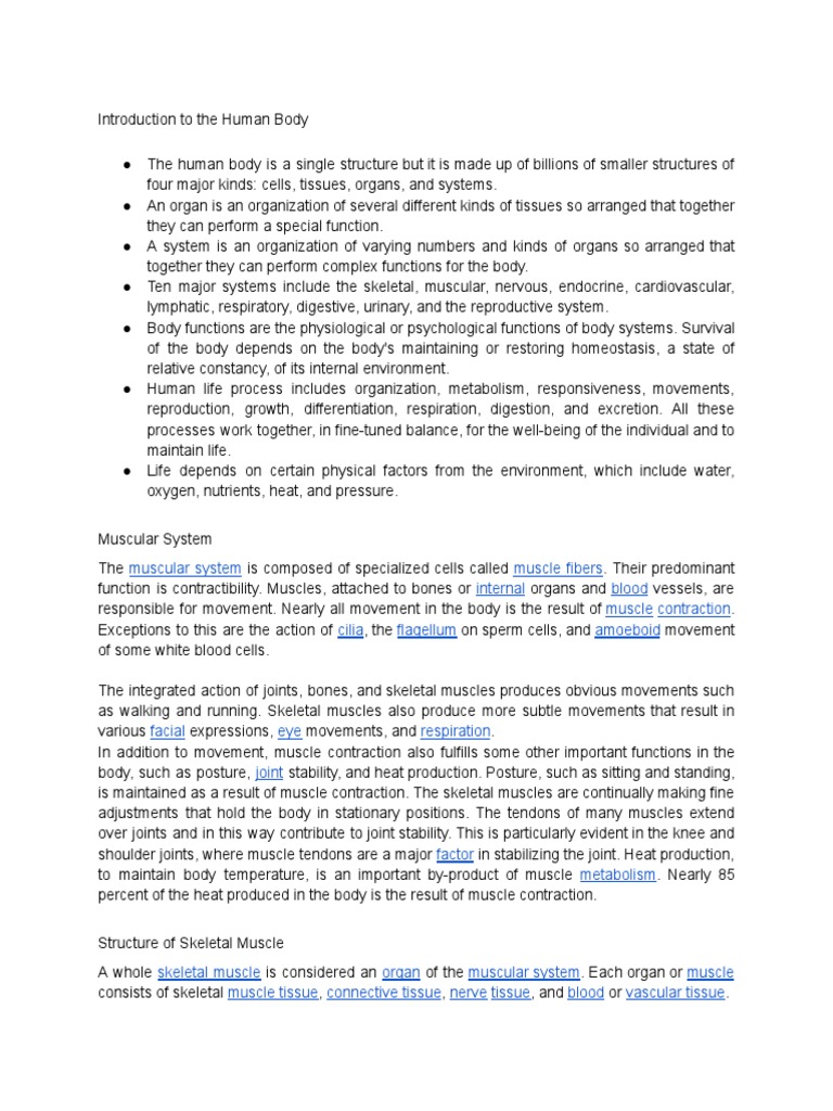 Systems of The Body | PDF