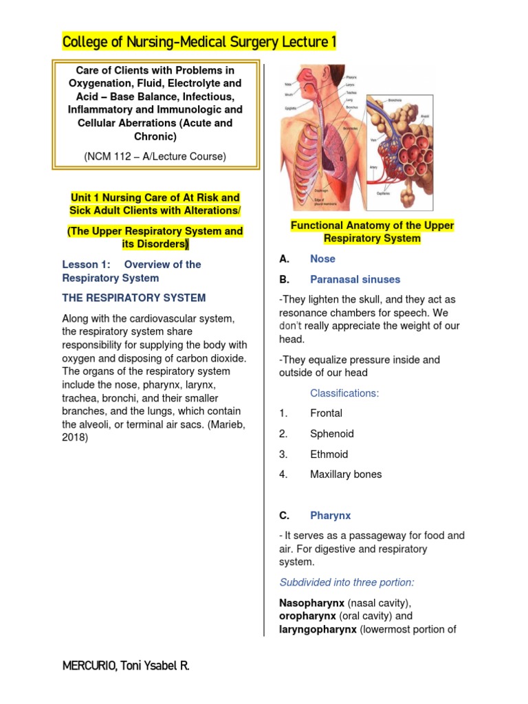 Medical Surgical Transes | PDF | Respiratory Tract | Lung