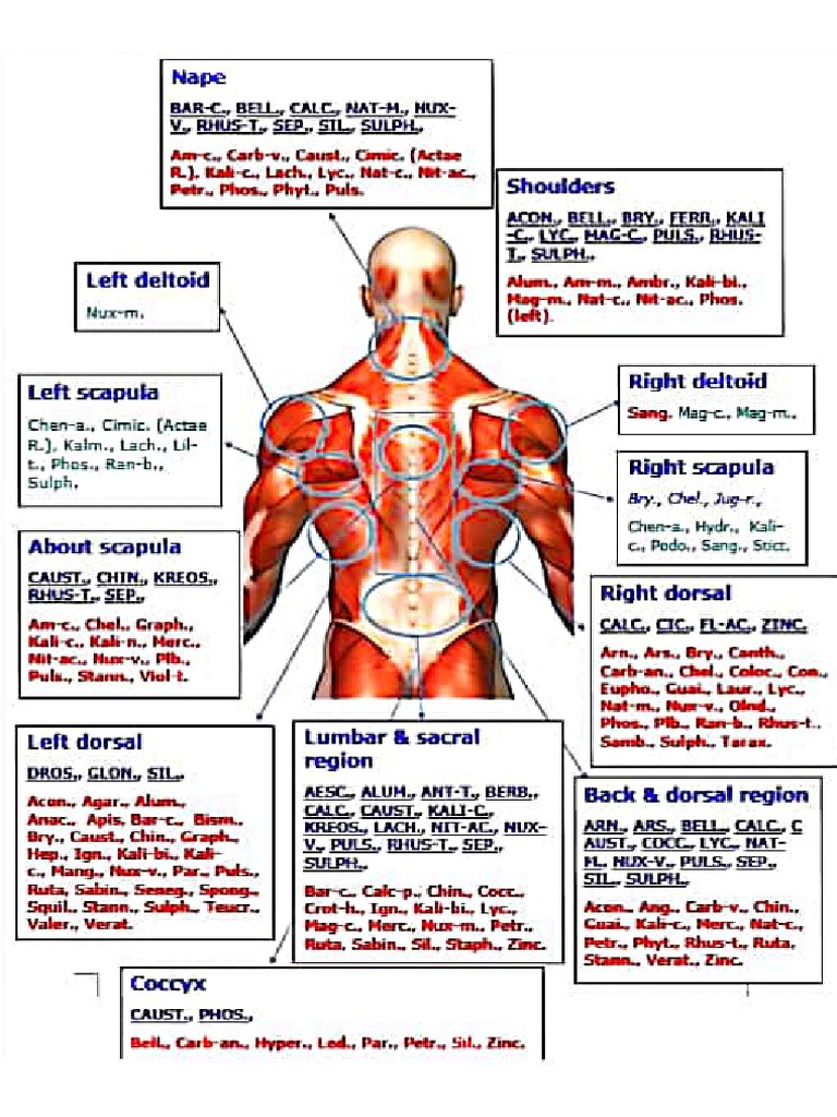 Back Pain Chart | PDF