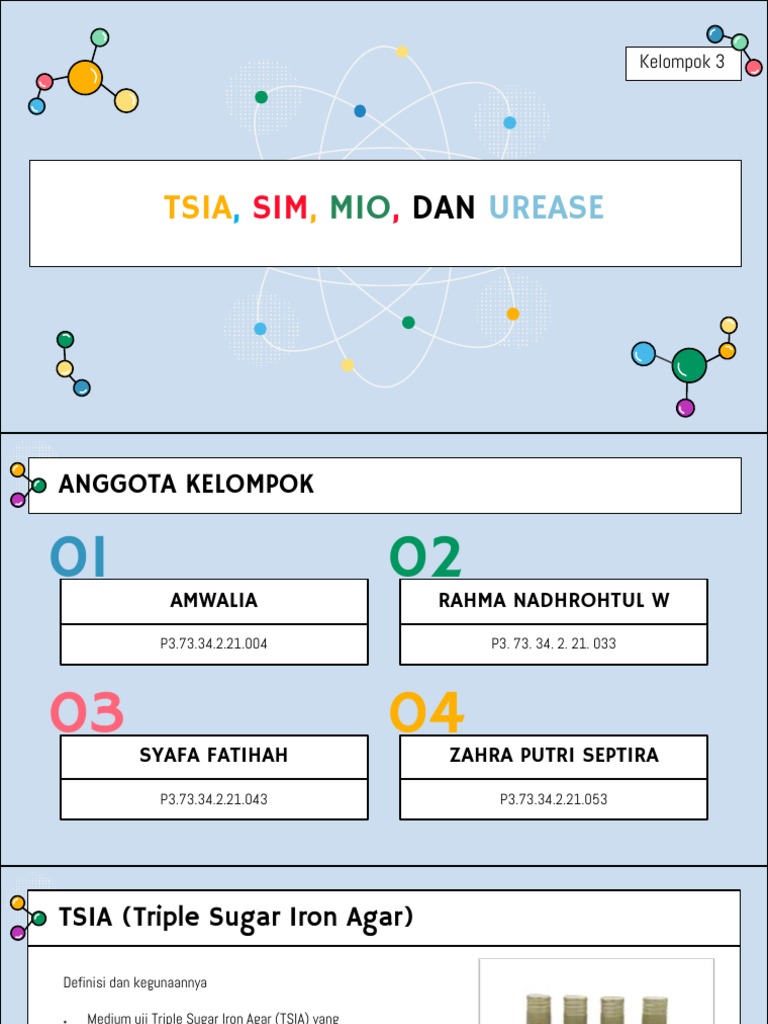 Kel 3 Tsia, Sim, Mio, Dan Urease | PDF