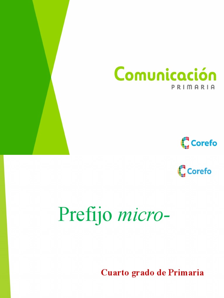 RV 93 Prefijo Micro | PDF