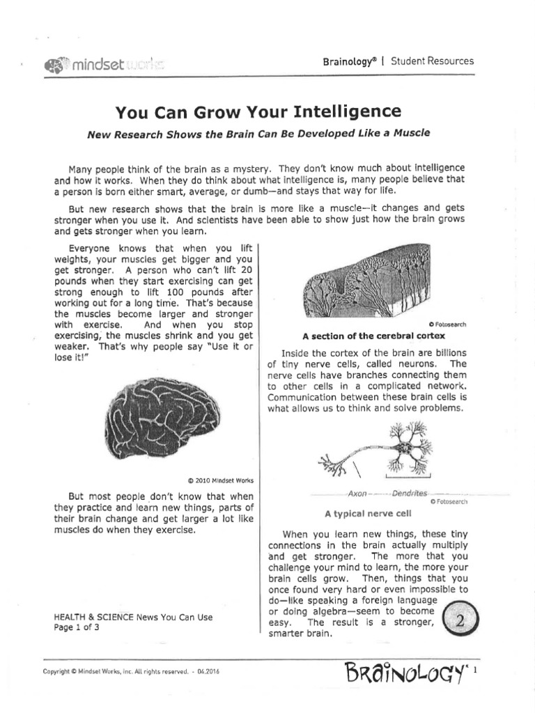 Growth Mindset Student Article | PDF