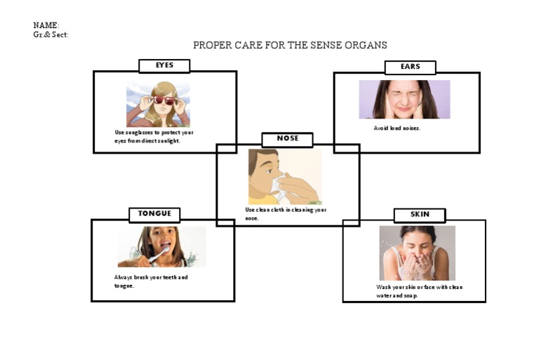 Proper Care For The Sense Organs PO | PDF