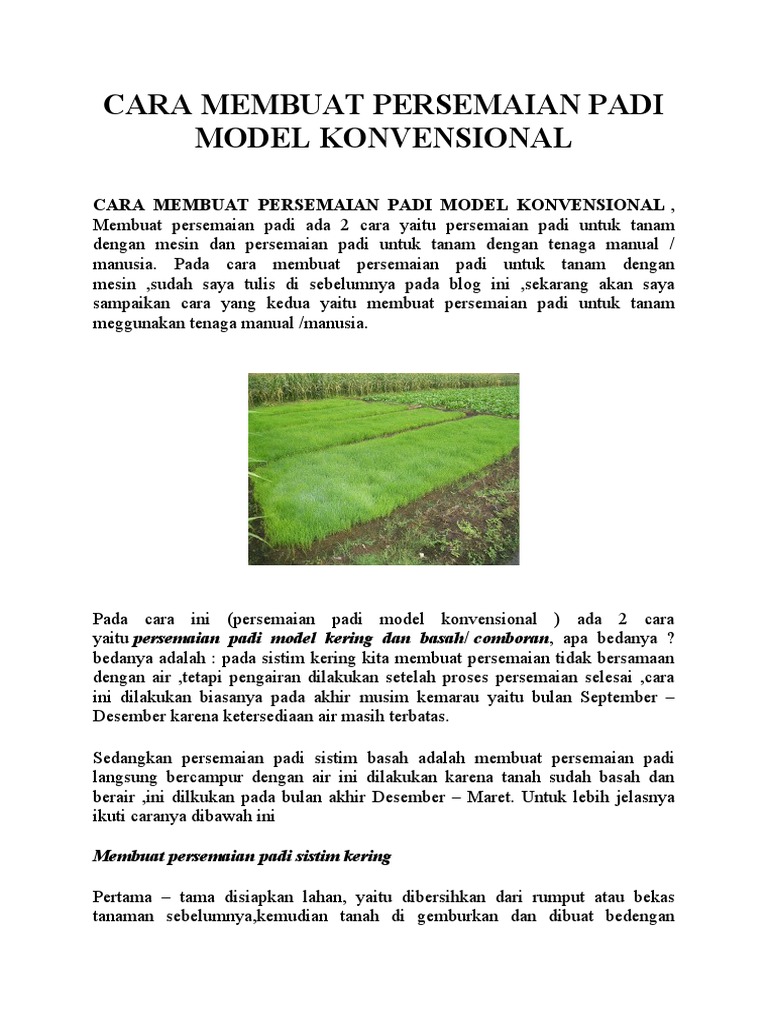Cara Membuat Persemaian Padi Model Konvensional | PDF