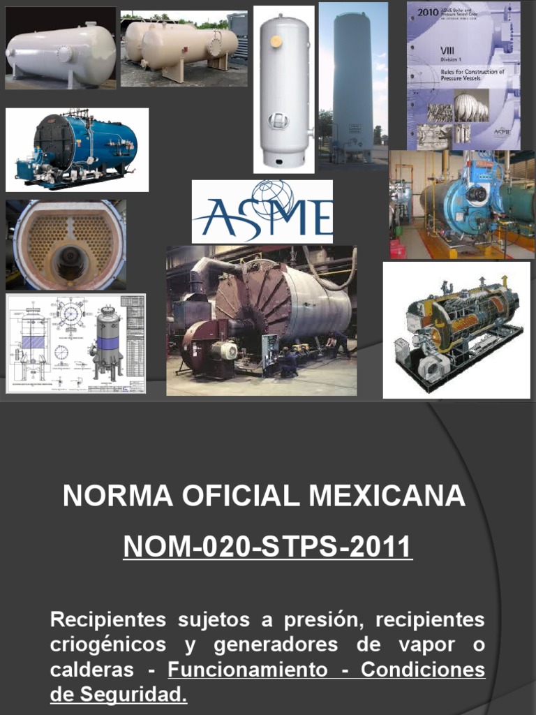 Nom 020 STPS 2011 | PDF