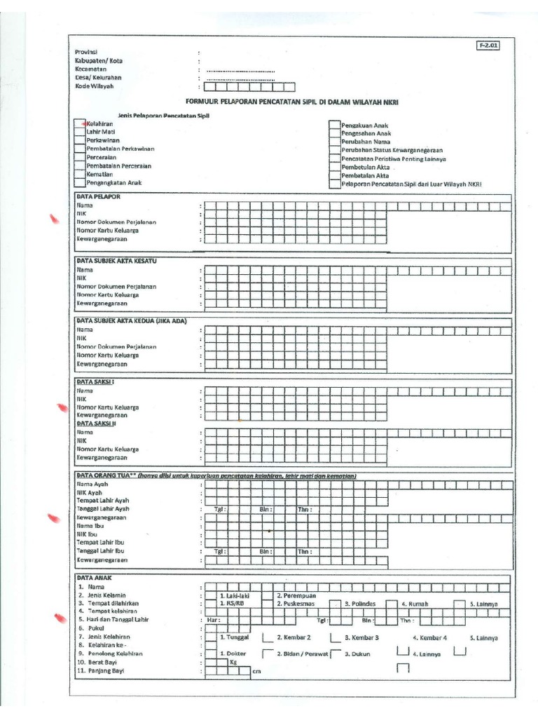 Formulir Akta Kelahiran 2022 | PDF