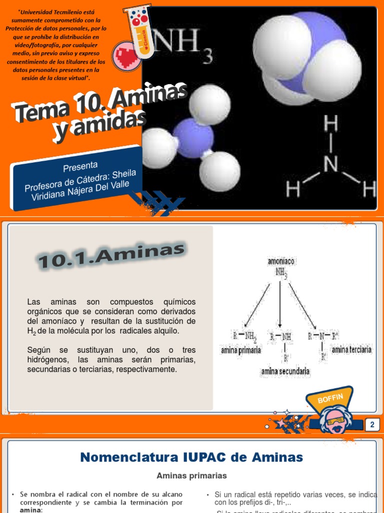 Tema 10 Aminas y Amidas | PDF | Amida | Amina