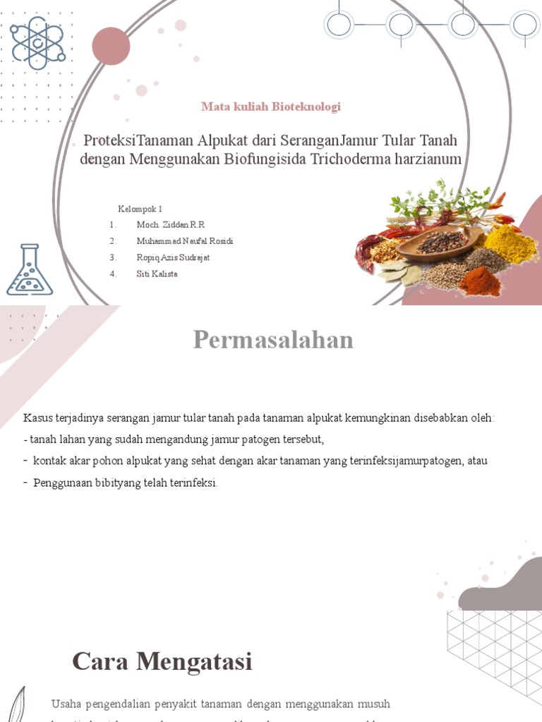 ProteksiTanaman Alpukat Dari Serangan Jamur Tular Tanah Dengan ...