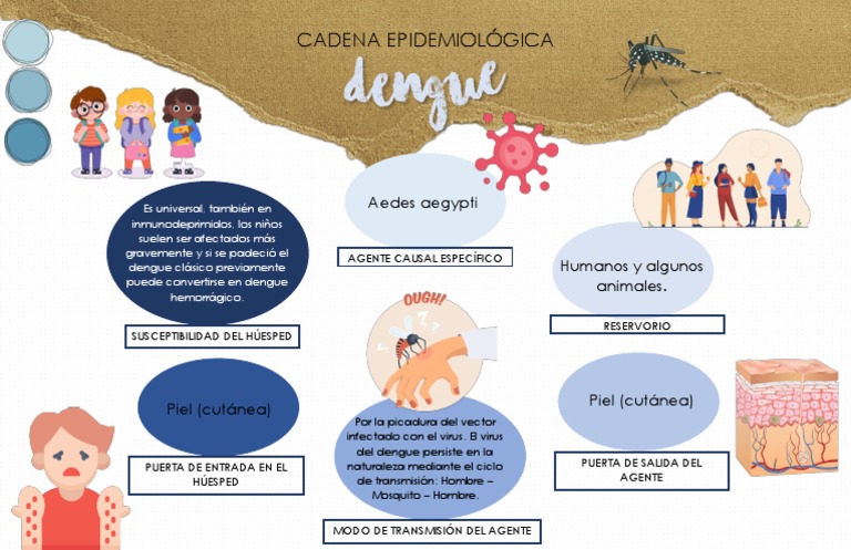 Cadena Epidemiológica Dengue | PDF