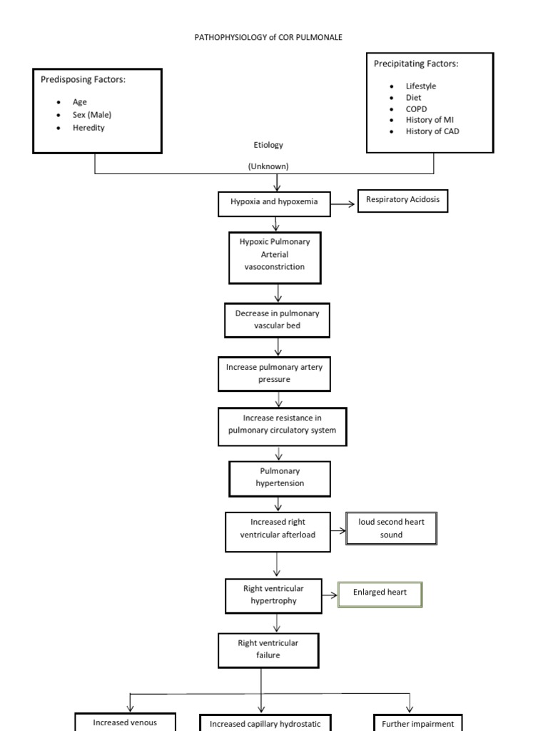 (cor pulmonale)PATHOPHYSIOLOGY