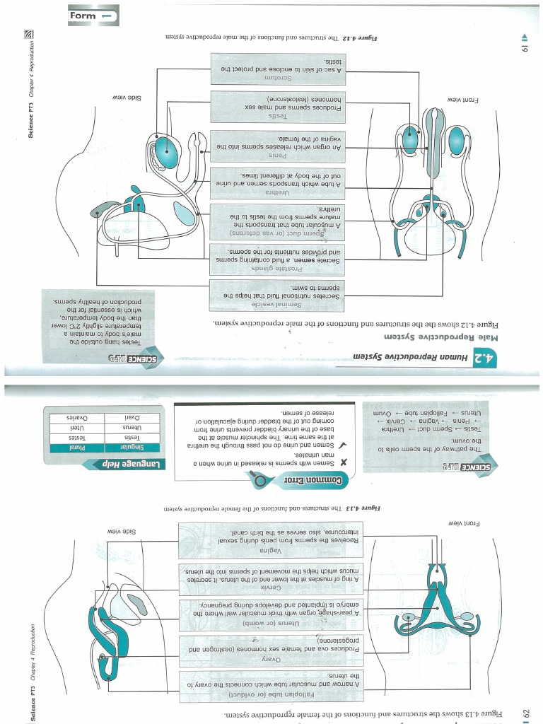 Form 1 Science Chapter 4 Reproduction Note Part 2 | PDF Form 1 Science Chapter 4 Reproduction Note Part 2 | PDF